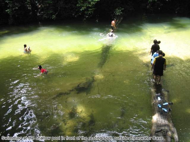 One Very Short Life: Mulu National Park II