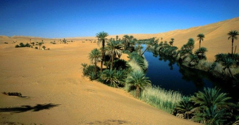 BIBOCA AMBIENTAL : OÁSIS