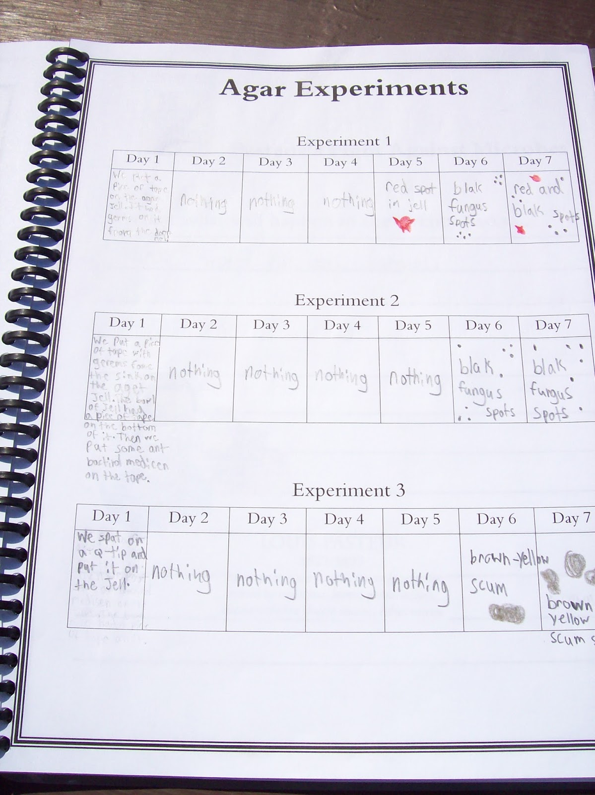 Reflections from Drywood Creek: Beautiful Feet History of Science Wrap ...