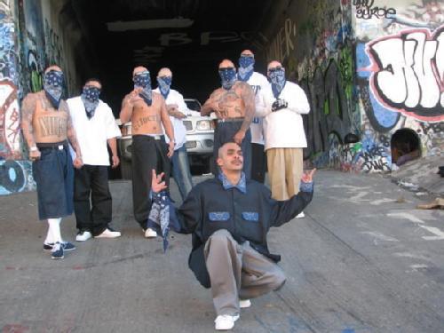 pandillas: tipos de pandillas