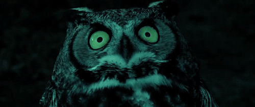 GIFrases: GIF RAROS, EXTRAÑOS, INSOLITOS...