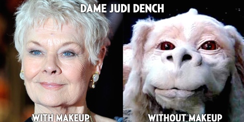 The Peverett Phile: Pheaturing Froomador