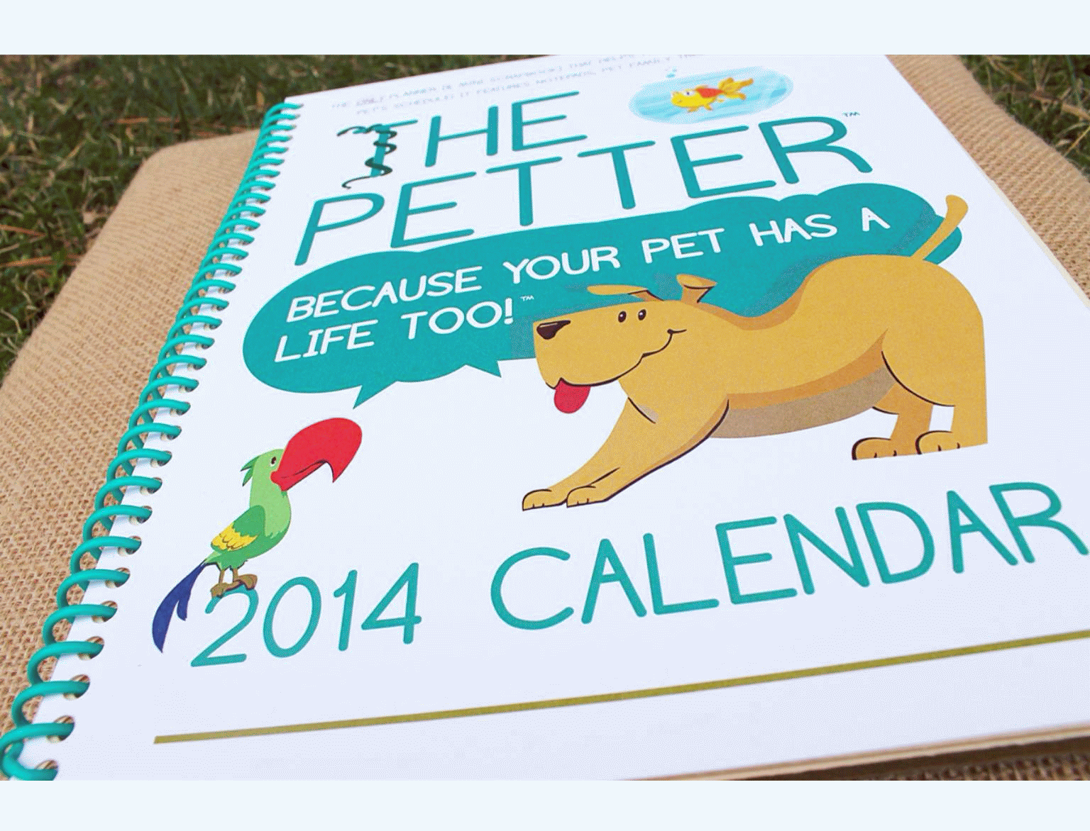 Small Animal Talk: Date with your dog: making time