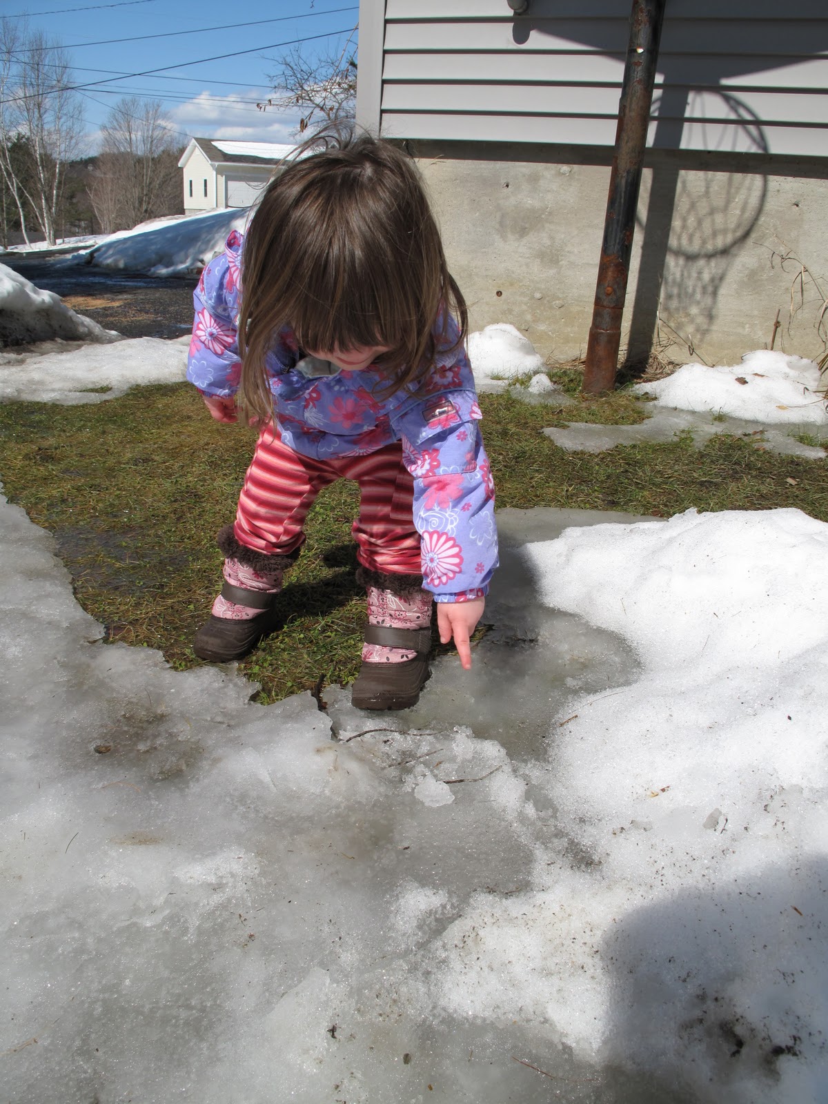 Nature Loving Kids: Signs of Spring
