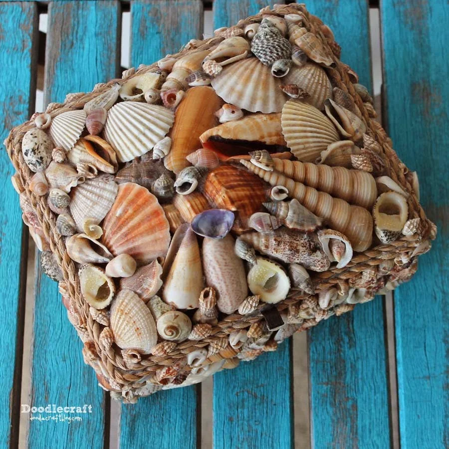 9 Super Seashell Crafts!