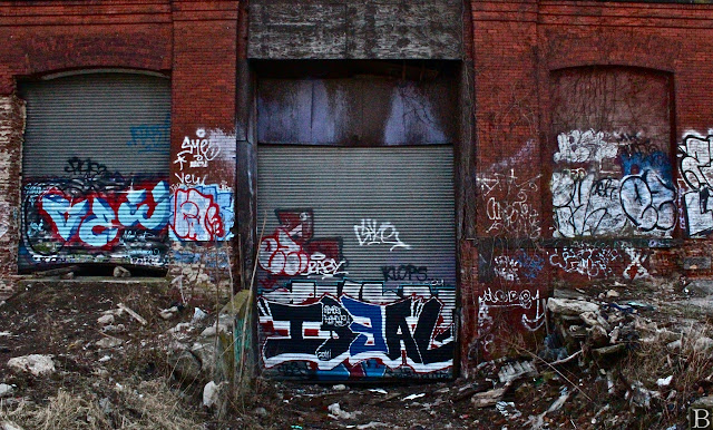 BRIAN KAVANAGH PHOTOGRAPHY: Gowanus BatCave