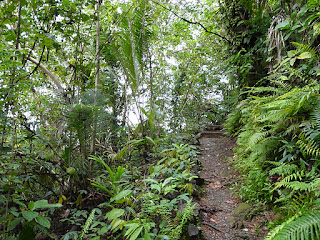 Tansy's Garden: Micronesia - Pohnpei