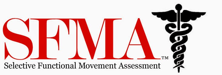 Course Review: SFMA 2 - Advanced | Modern Manual Therapy Blog - Manual ...