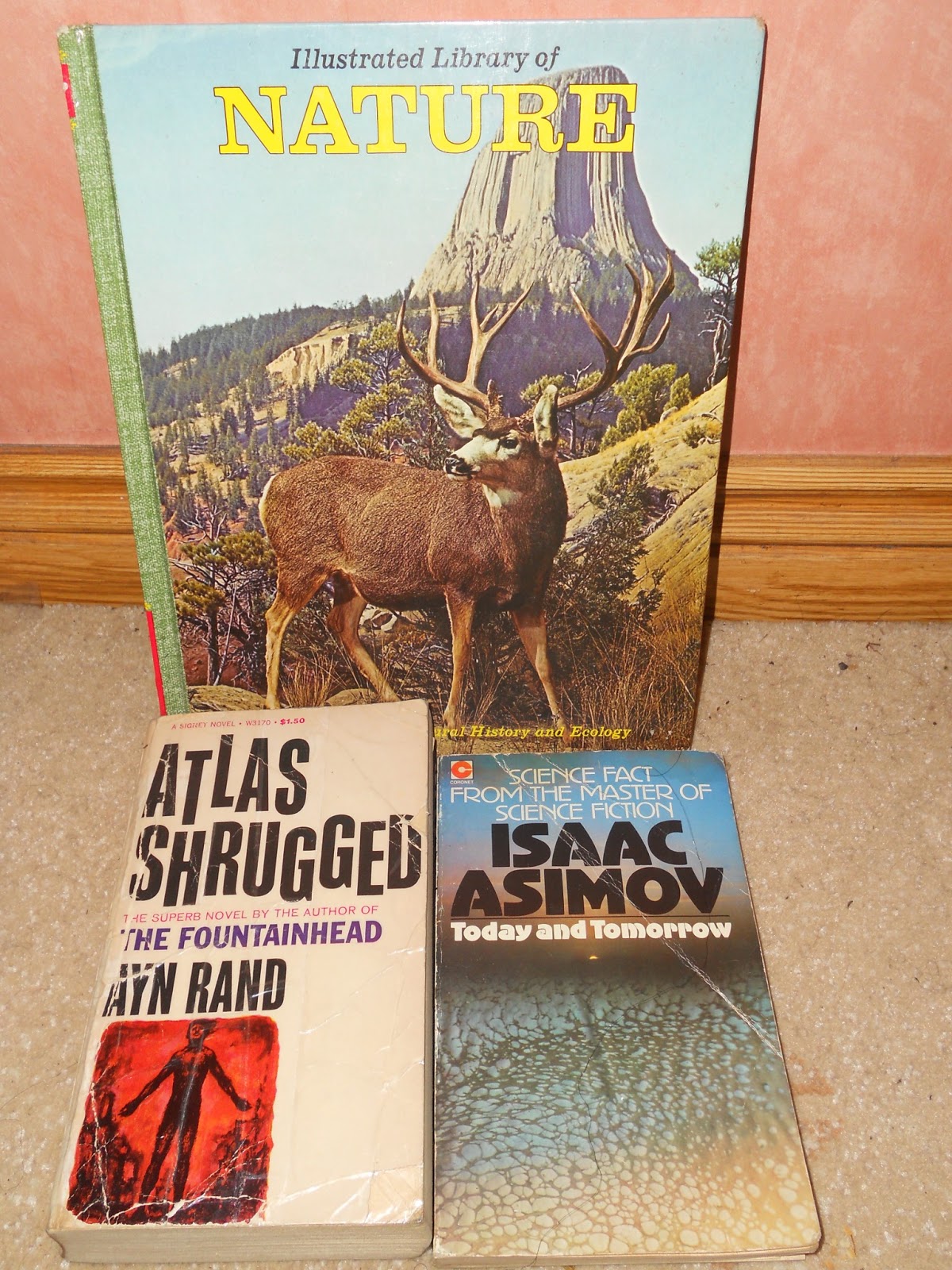 Motley Monroe's Crystal Maze