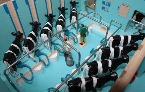 Your Dairy Experts: Modern Milk Parlor Designs