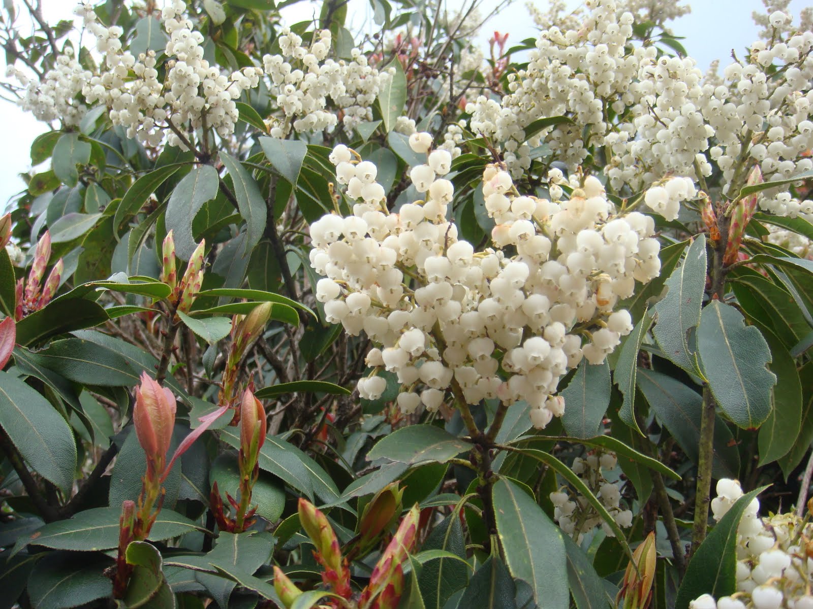 A Protest of Romance: July 2011