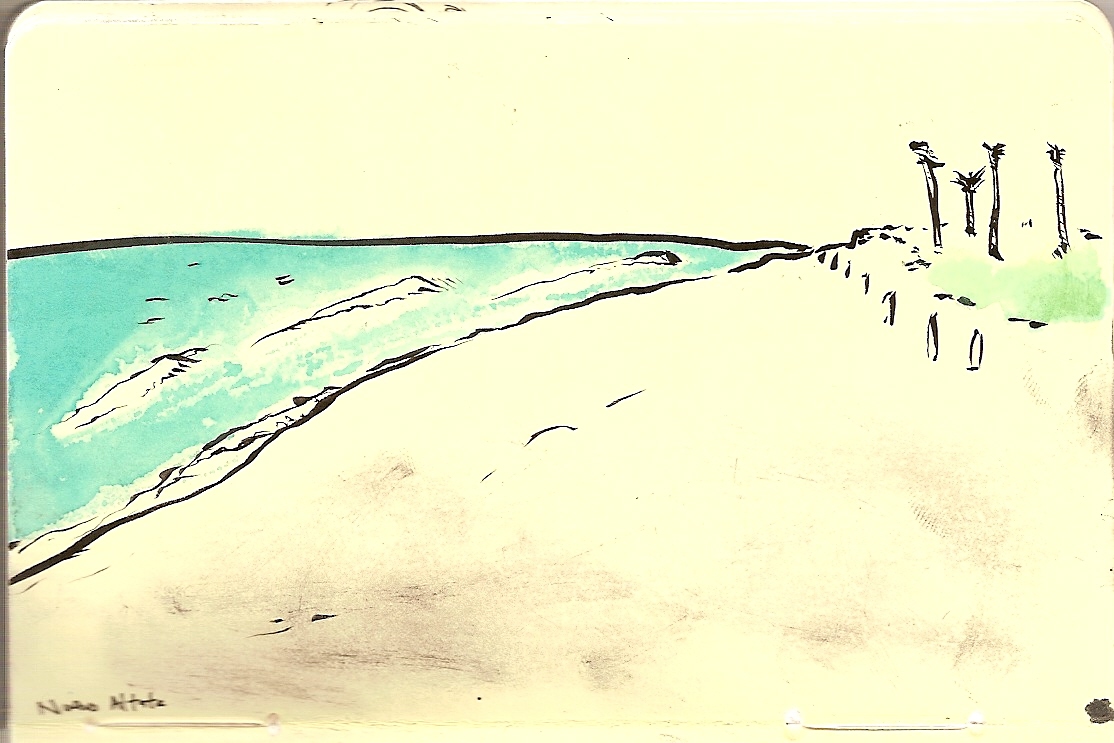 Mexican Beach - Andres Salazar