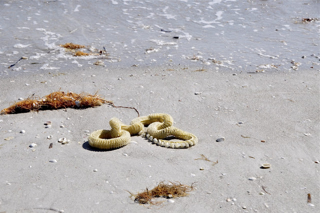 My Retiring Life: "Go on, high ship, since now, upon the shore, The ...