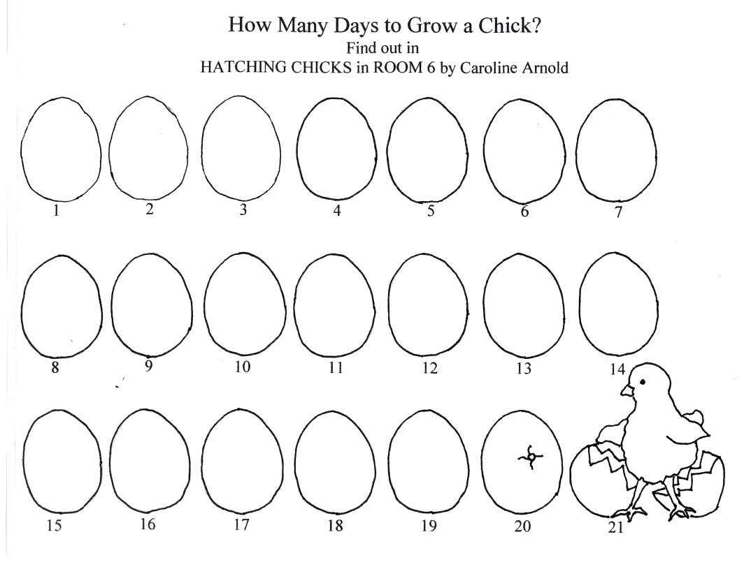 Caroline Arnold Art and Books: Egg-Citing Activites for Kids Part 3 ...