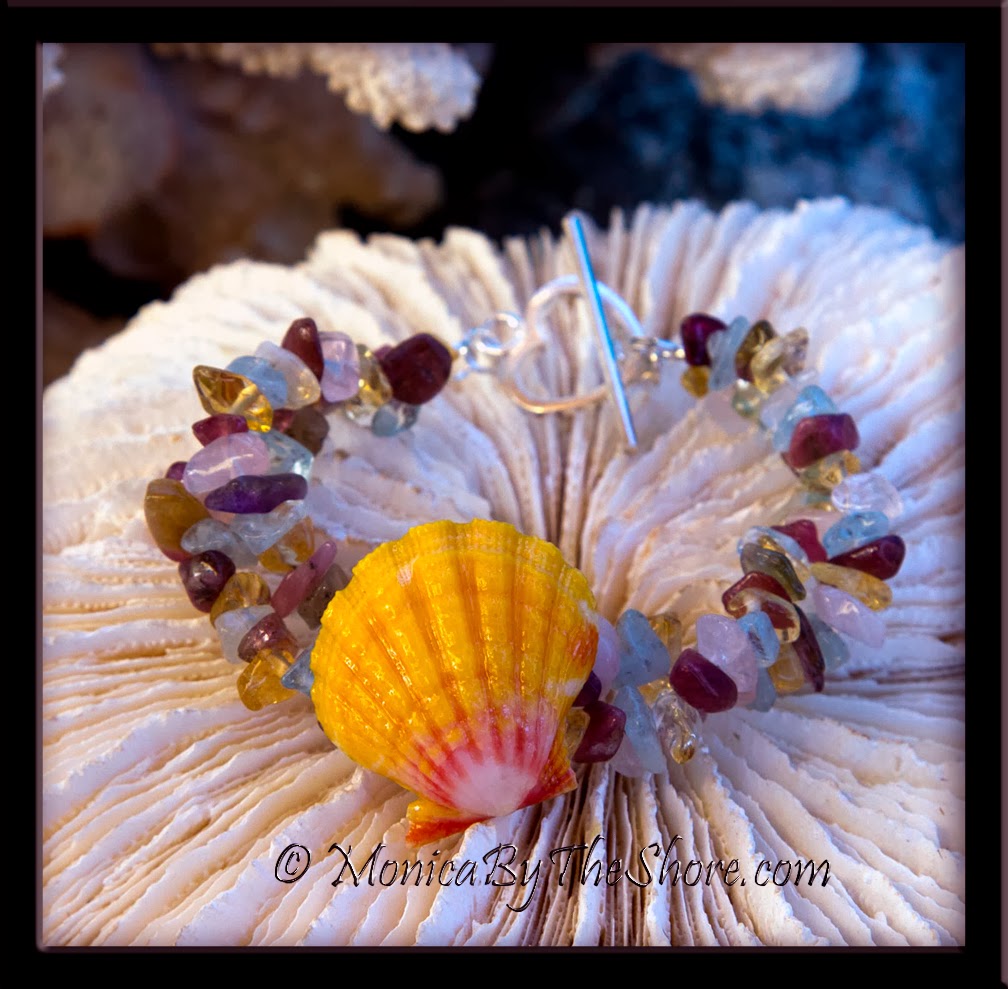 Monica's Blog: Tis the Season for Christmas Sunrise Shells!!!
