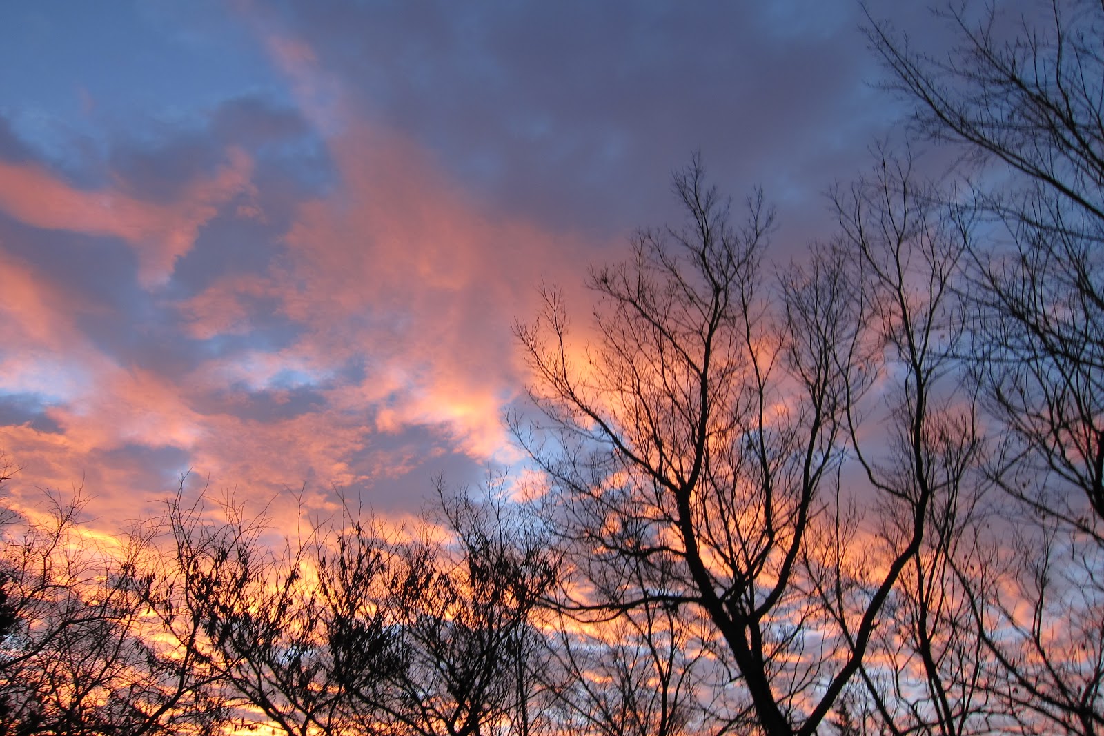 Chicken Creek Journal: A Rosy Dawn