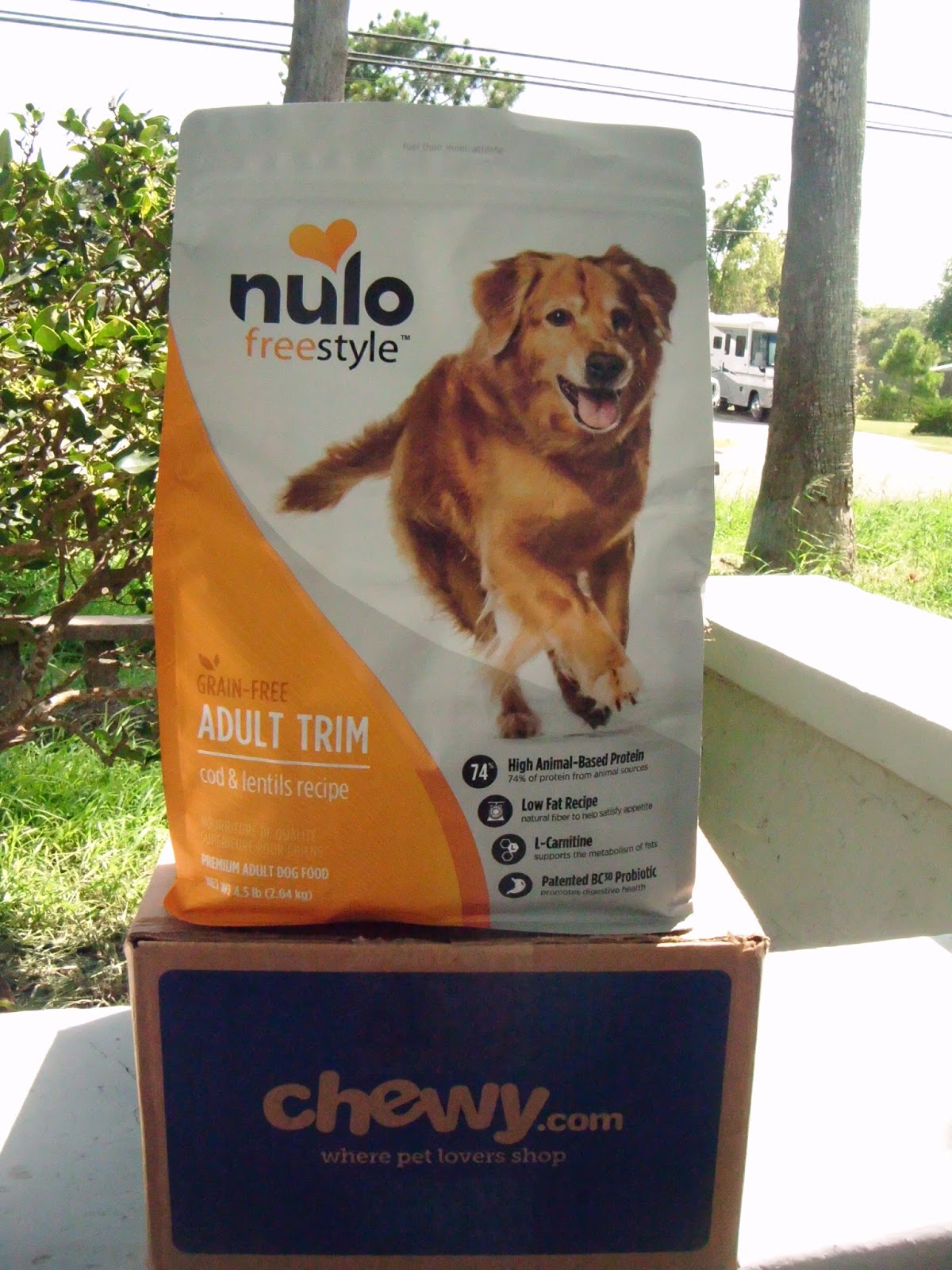 The ABCD Diaries: Chewy.com June Pick: Nulo FreeStyle Cod & Lentils ...