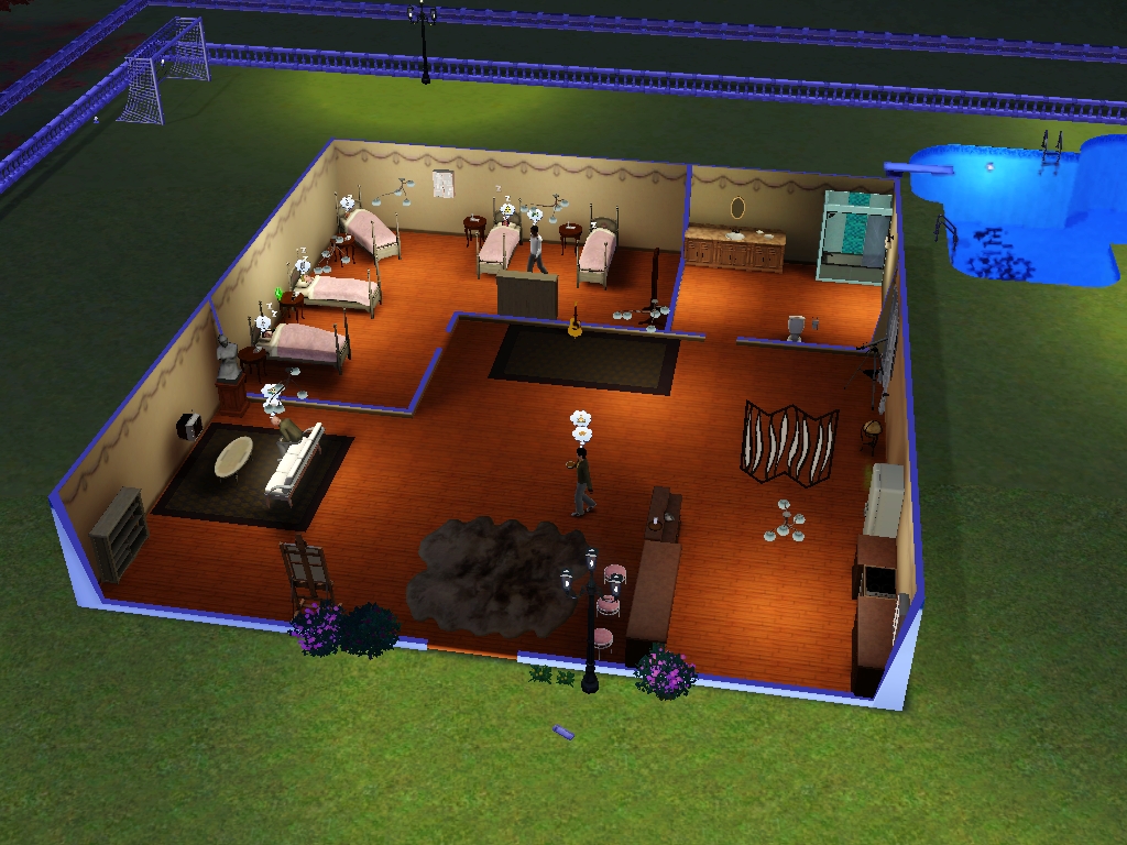 Roxy's Sims 3 Play Logs : Asylum Challenge Intro