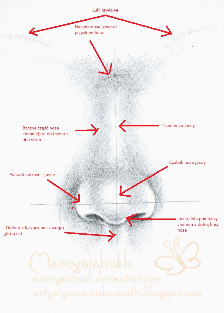 Artystyczne Ciekawostki Marcysibush: Jak rysować nos - podstawowe ...
