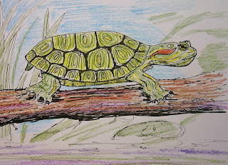 How to Draw Worksheets for The Young Artist: How To Draw A Turtle ...