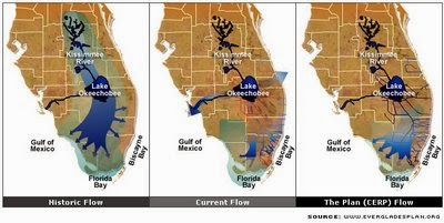 Florida Everglades Ecosystem: Current Human Impacts