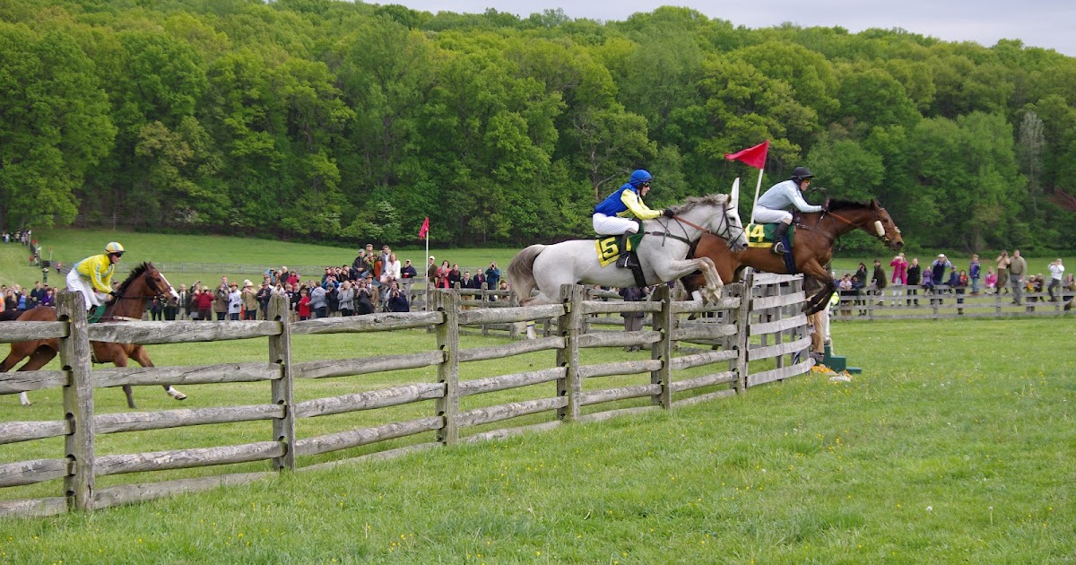 The Life of an Anglo-American: The Greatest Timber Race... The Maryland ...