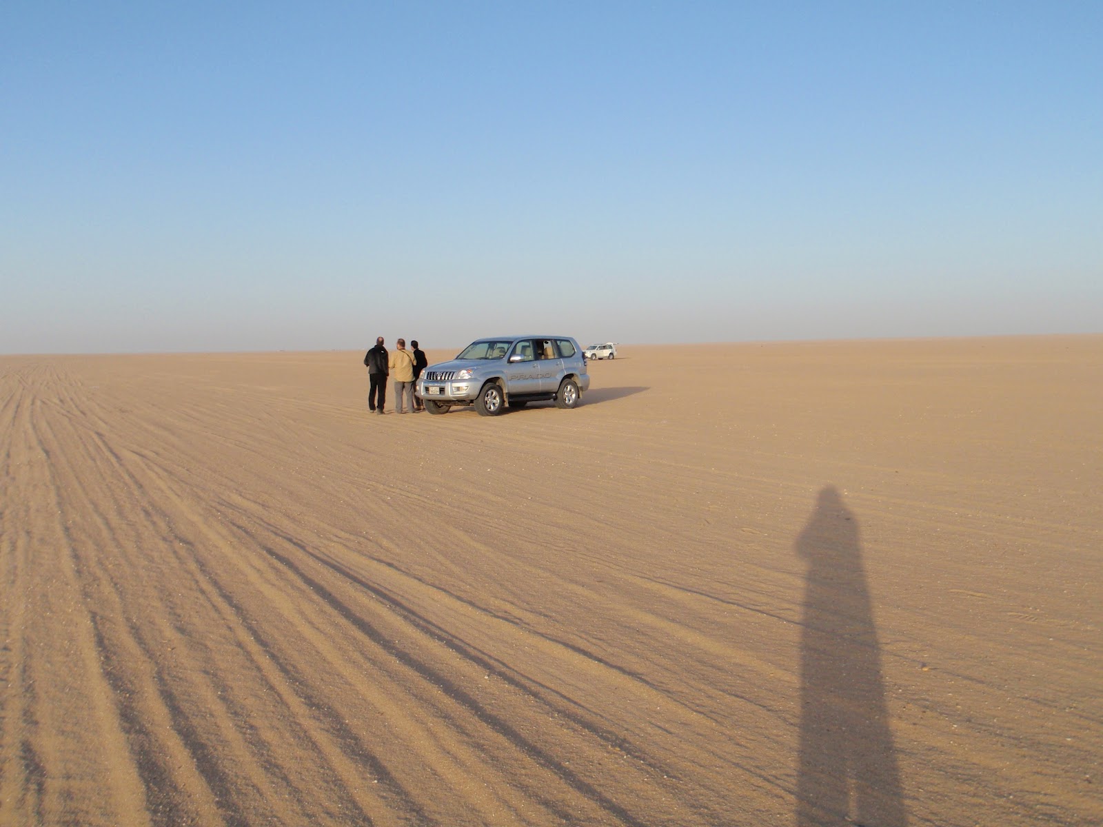 Athens Nature Journal: Kuwait Birding: Nature and culture experiences