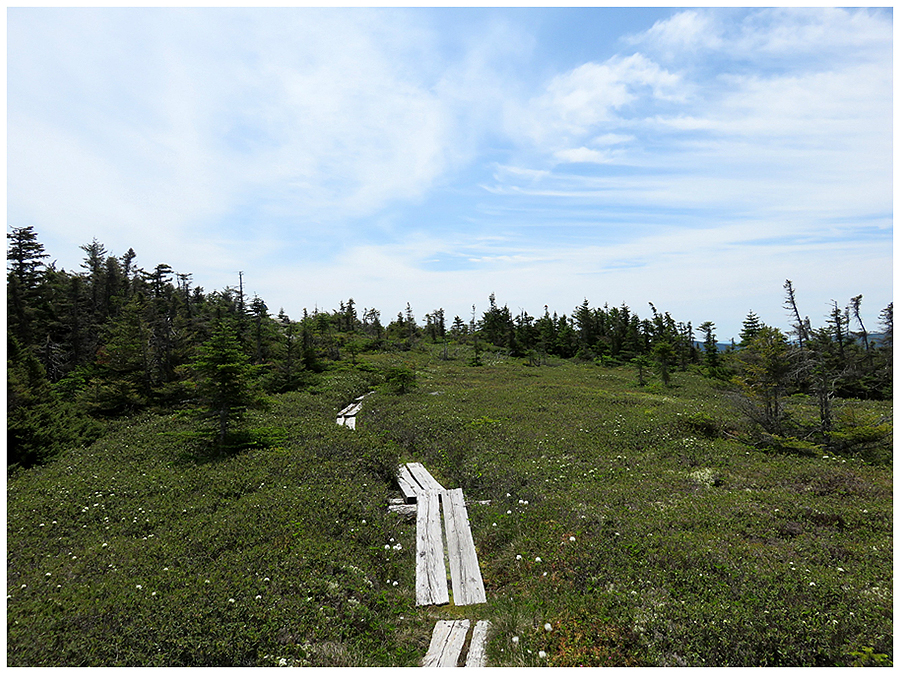 Hiking in the White Mountains: Mahoosuc Range Traverse