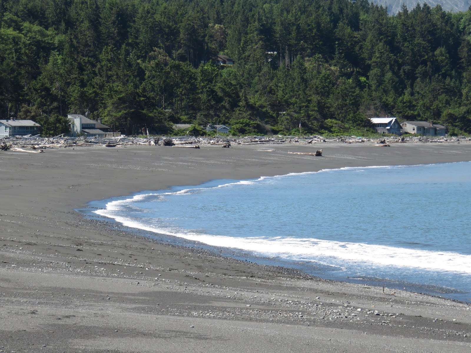 Gravel Beach: Elwha Delta