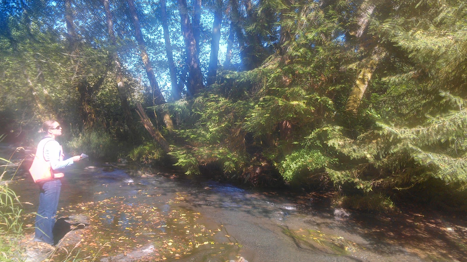 A Song of Fish and Sand - Summer 2012 Internship with ODFW