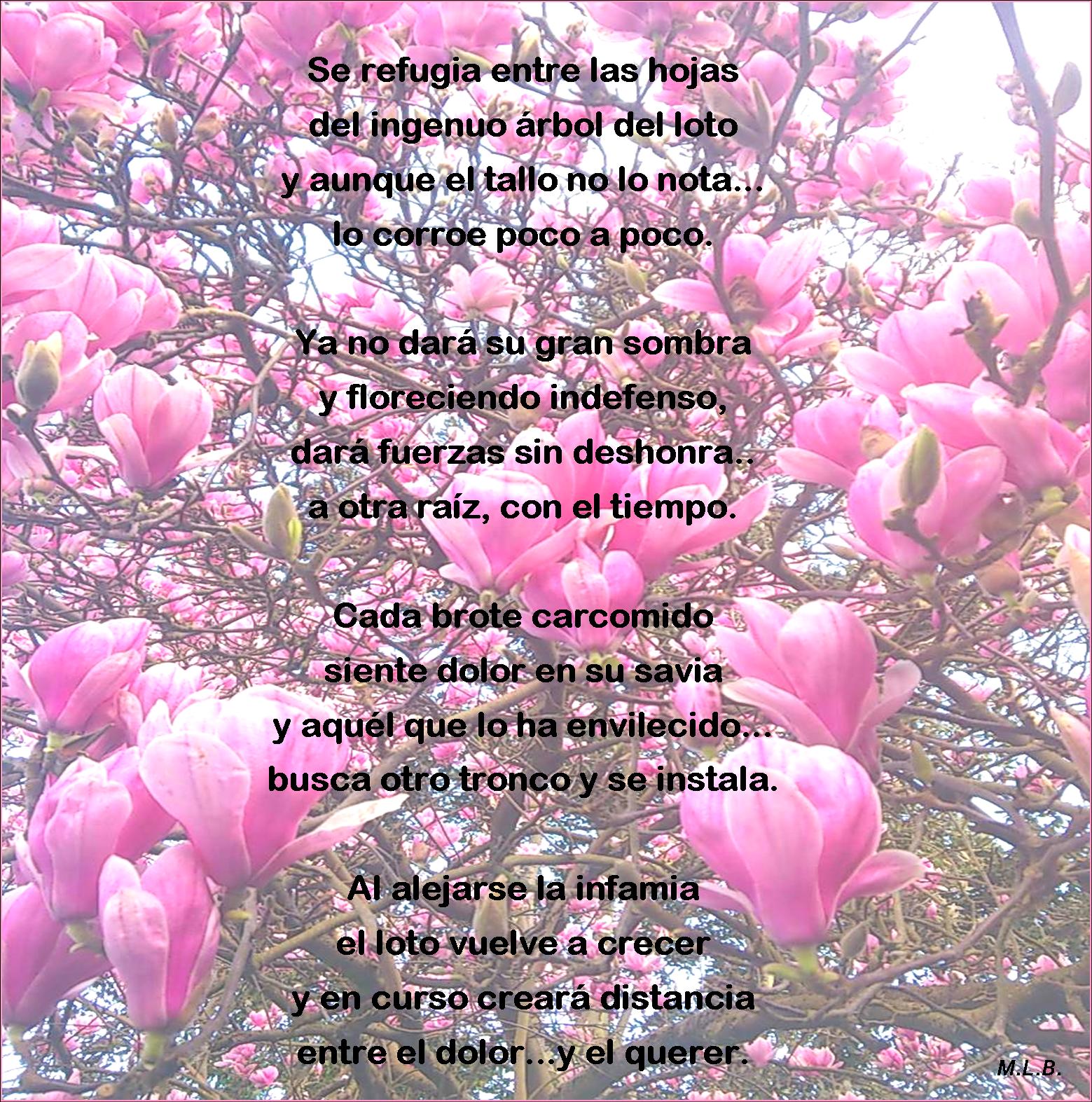 Palabras, Poesías y Versos con Rima: La intriga es cobarde