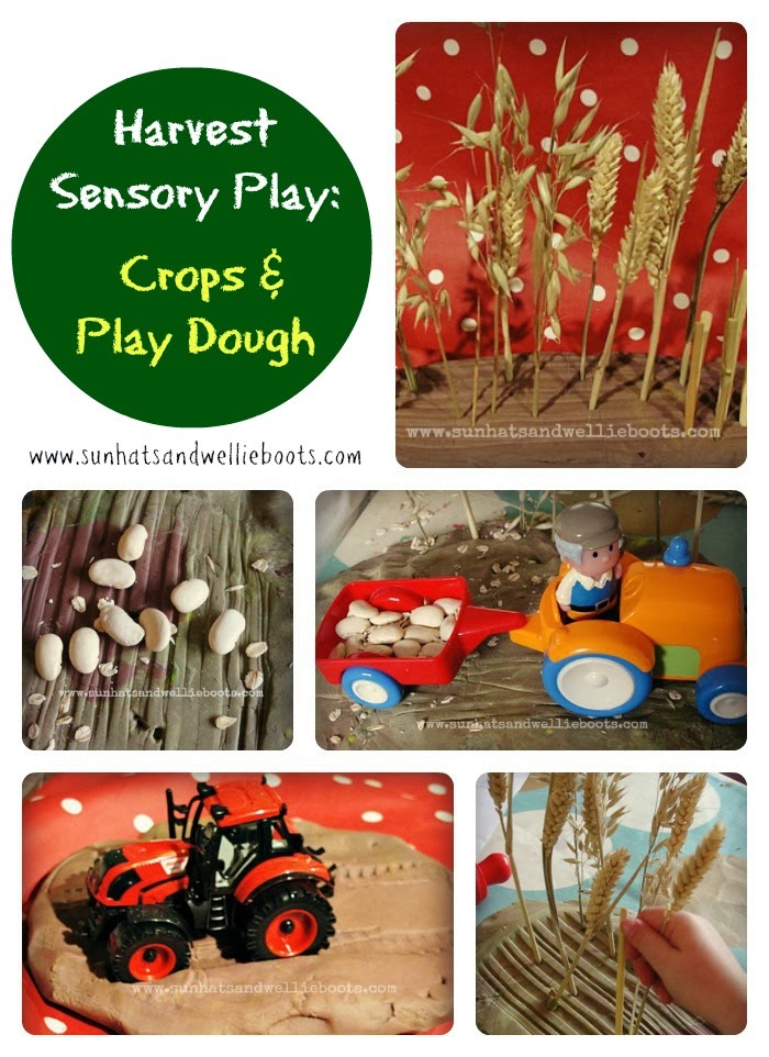 Sun Hats & Wellie Boots: Harvest Sensory Play: Planting Crops in Play Dough