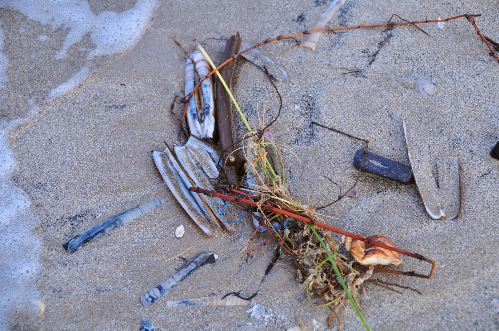 moments of perfect clarity: detritus on the beach as a metaphor for life
