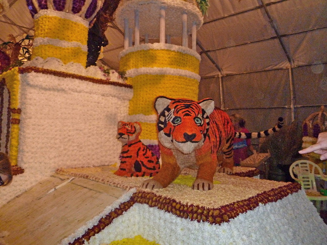 Thoughts and Ramblings: project#366 Week 32 - Carnival!