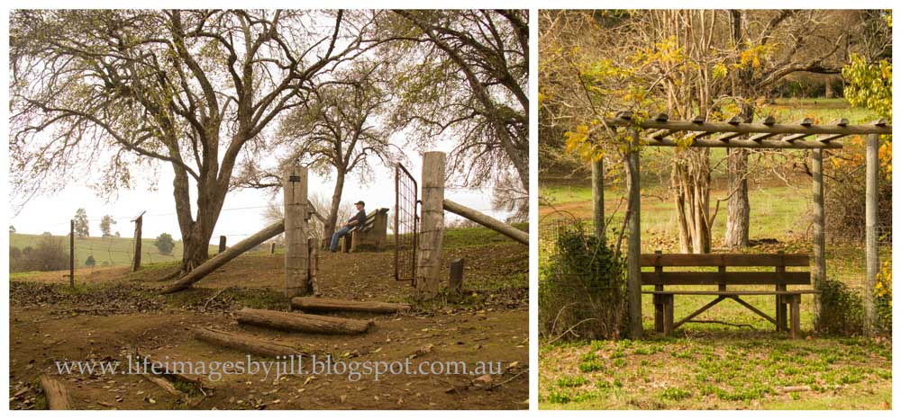 Life Images by Jill: Autumn in Western Australia, Golden Valley Tree ...