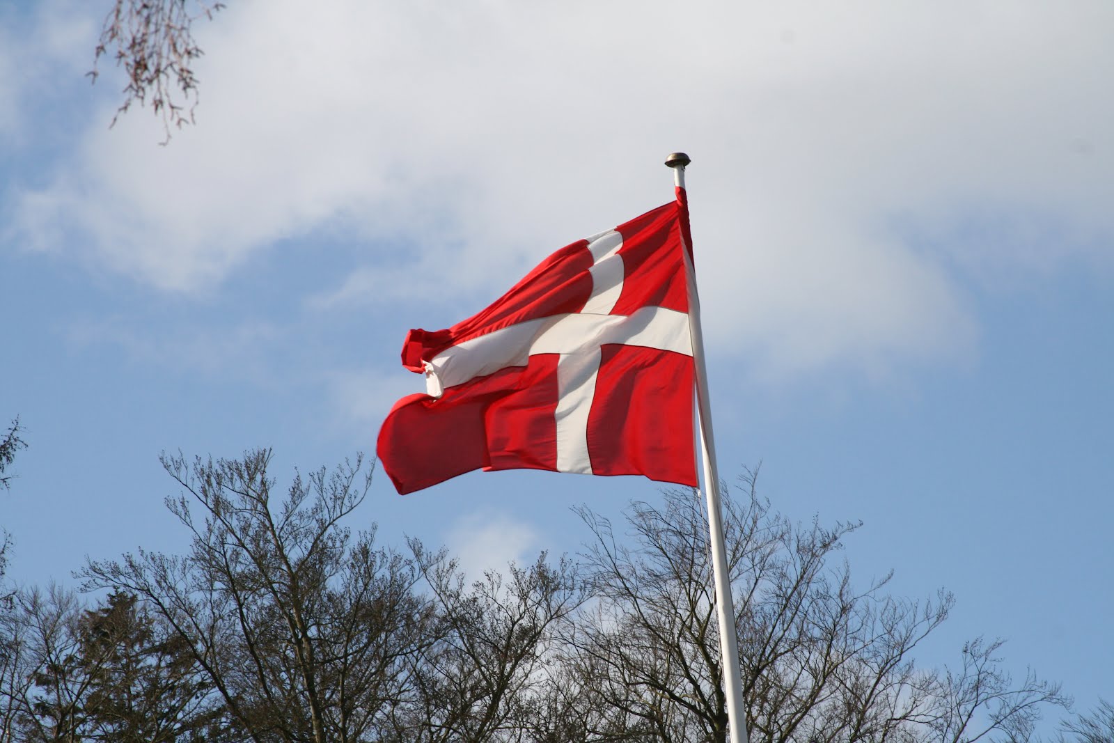 Svaner i Søllerød Sø: Dannebro blafre i vinden mod den blå himmel ...