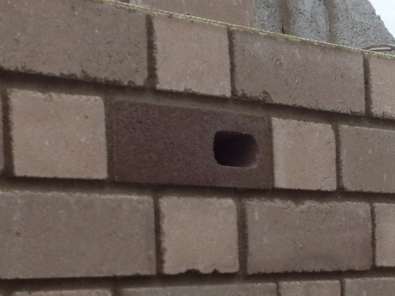 Action for Swifts: CJ commercialises the Cambridge Swift box system