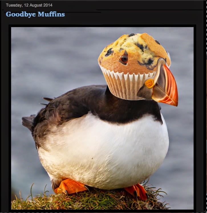 Fair Isle: Goodbye Puffins