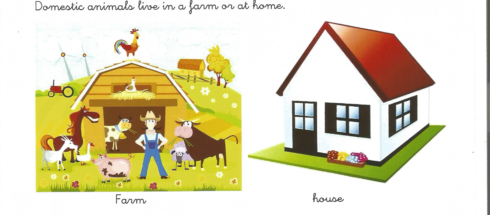 ¡Ya estamos en primaria!: DOMESTIC ANIMALS ( Animales domésticos)