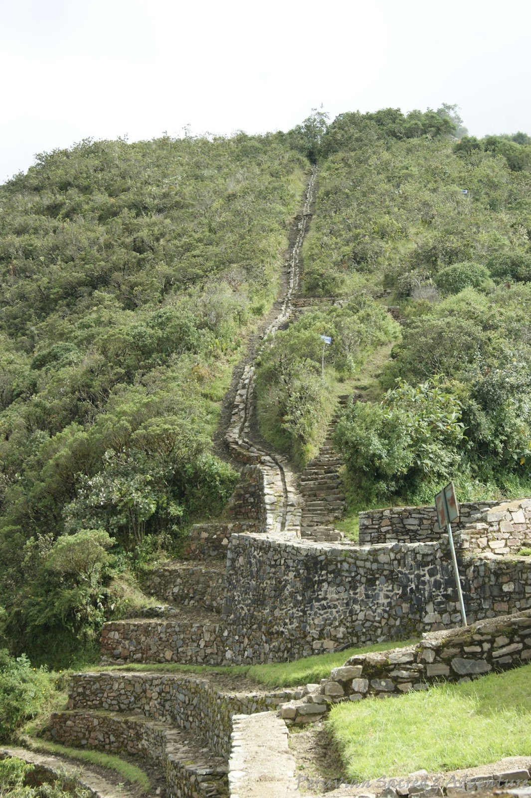 Peruvian Sacred: Trees in the Inca Trail Classic I