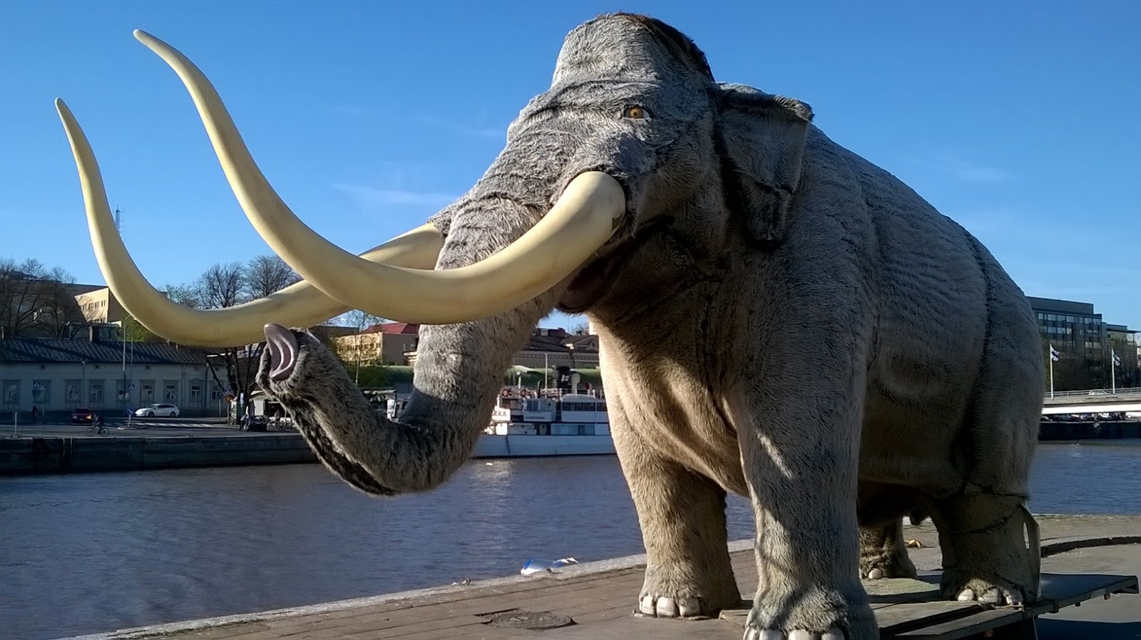 Vitsit, me lennetään: Evoluutiosta