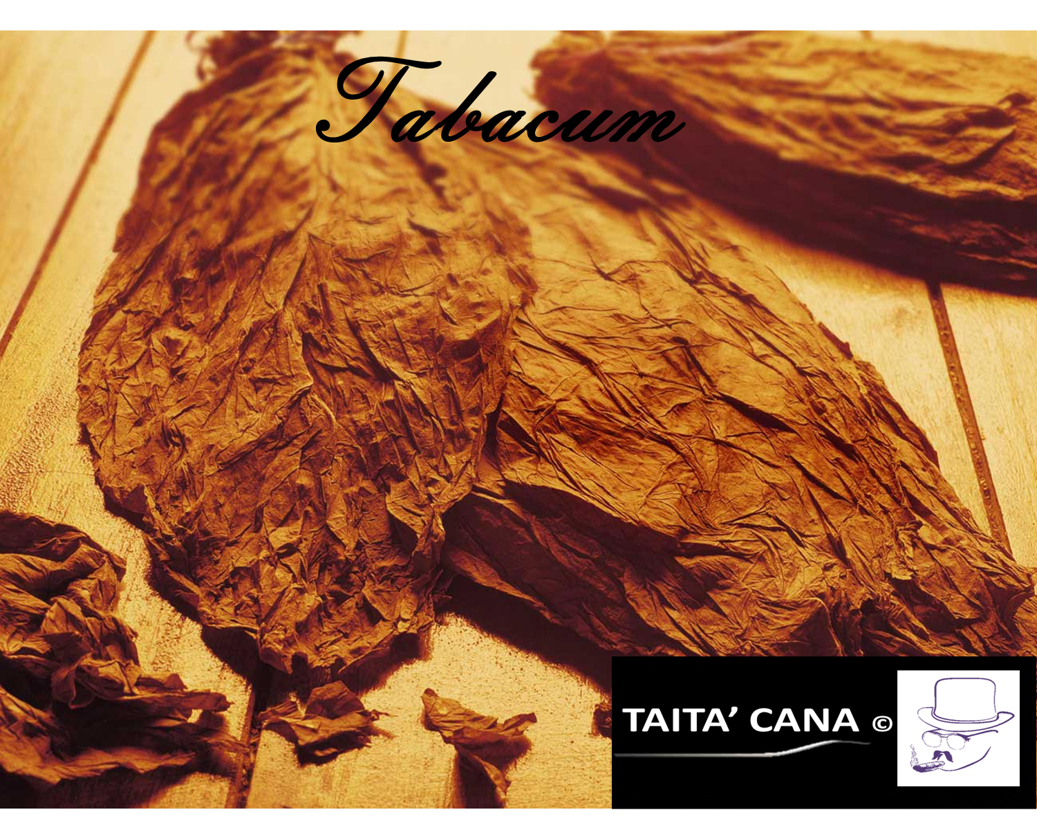 Taita Cana: ENTÉRATE DE LA DIFERENCIA DE UN CIGARRILLO A UN TABACO