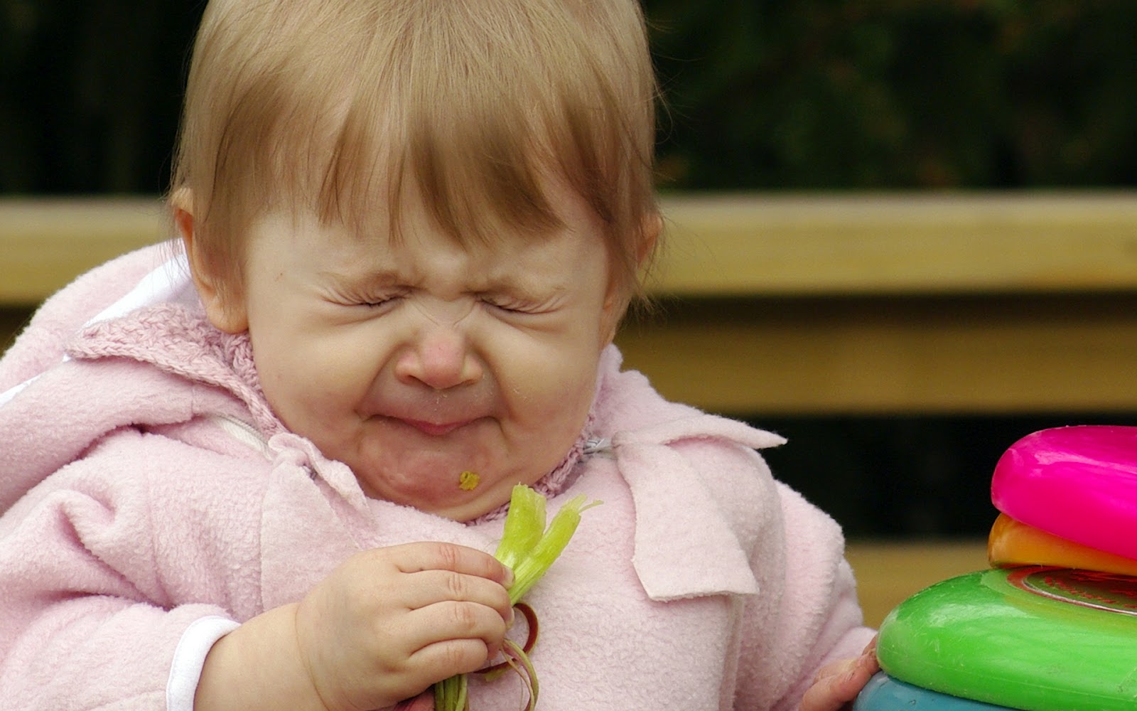 Lisa Mesi's Instagram, Twitter & Facebook on IDCrawl