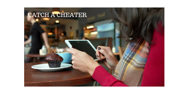 2016 ~ How to catch a cheater online