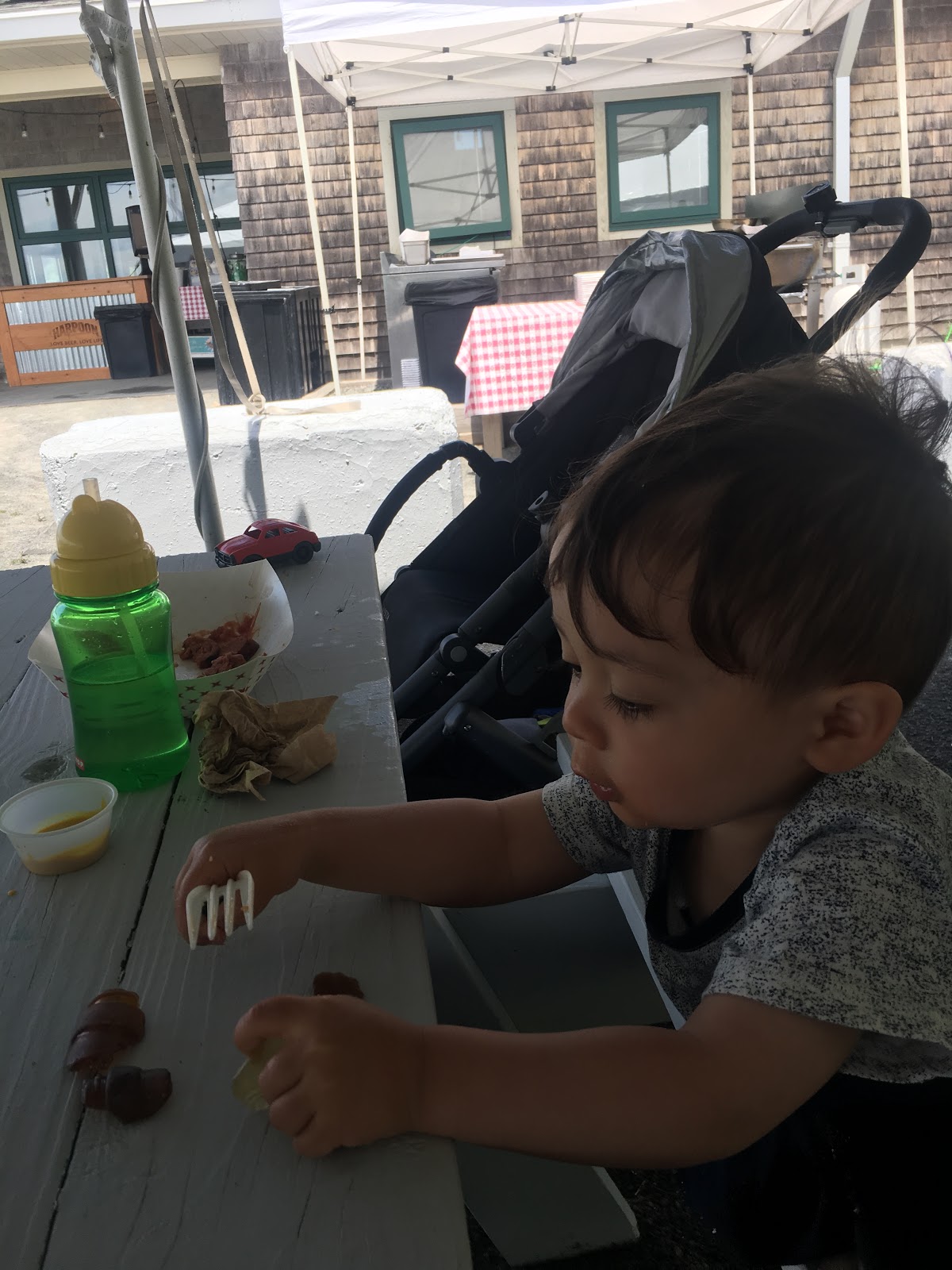 Family Adventure - Spectacle Island