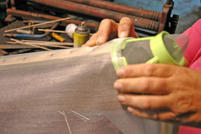 Northern Pecans: Building a pecan weevil trap