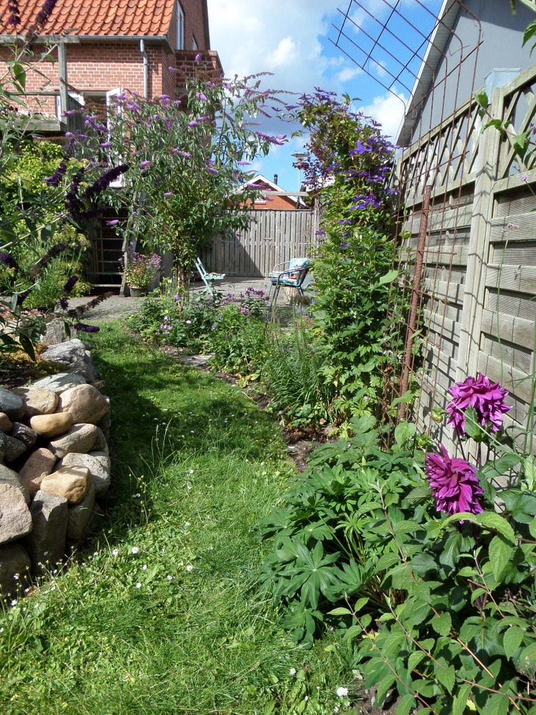 Heidis Have: Yes Yes Yes - 15 mm regn til os .....