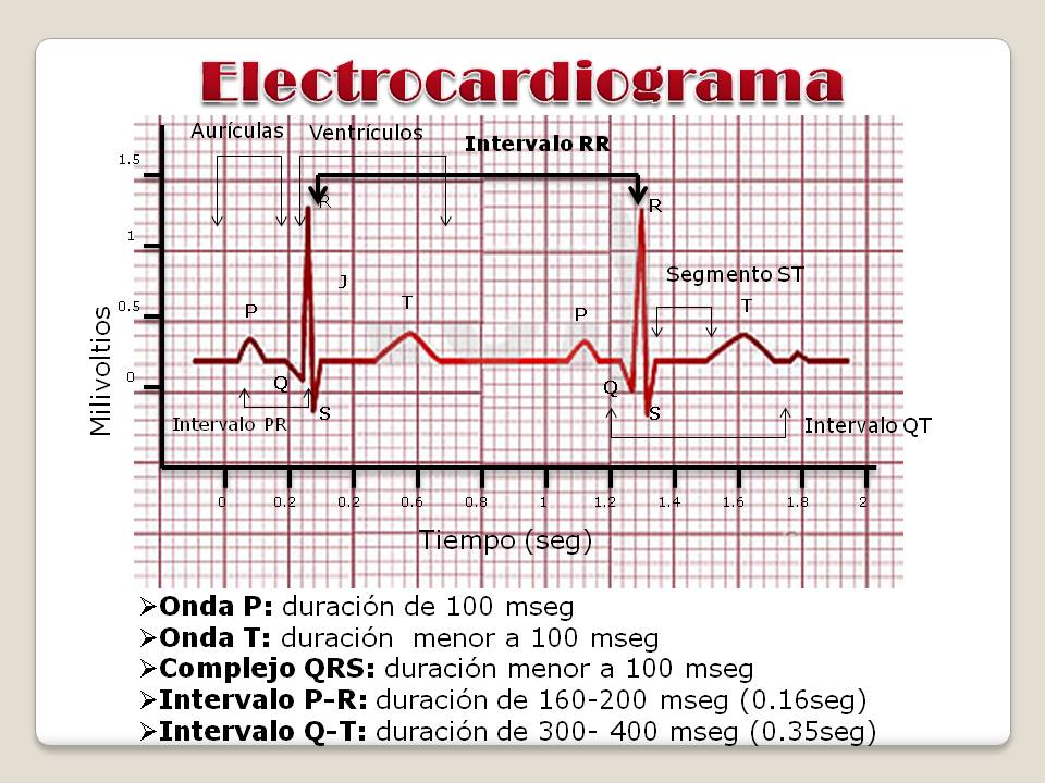 Fisiología de Omar Báez: Componentes del Electrocardiograma