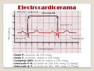 Fisiología de Omar Báez: Componentes del Electrocardiograma