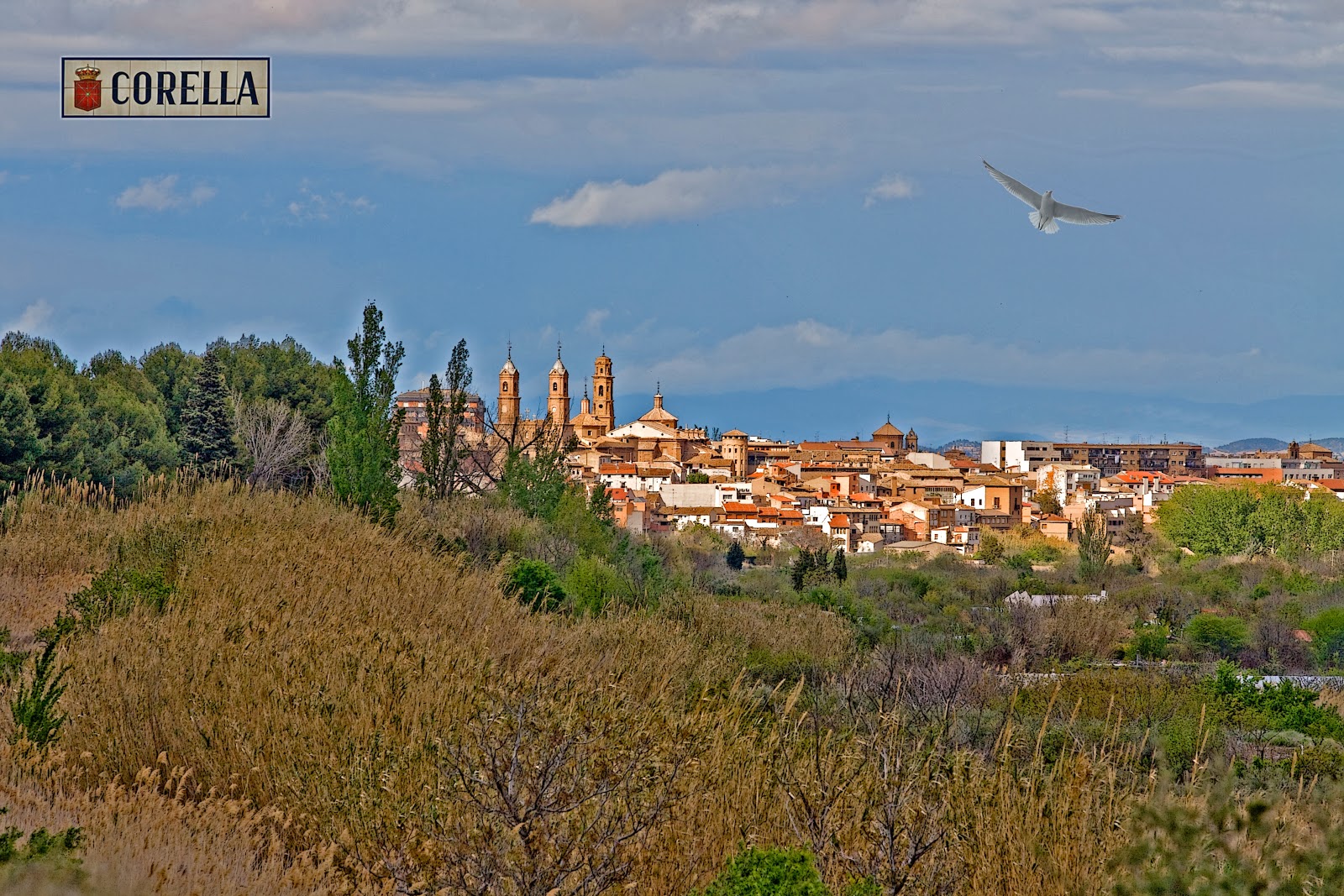 Corella: FOTOS ANTIGUAS 6